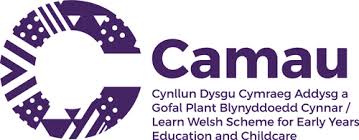 Camau | cwlwm